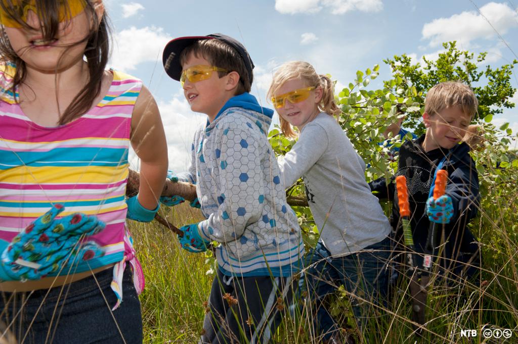 Utvikling av sosial kompetanse - Kommunikasjon og samhandling (HS-BUA vg2) - NDLA