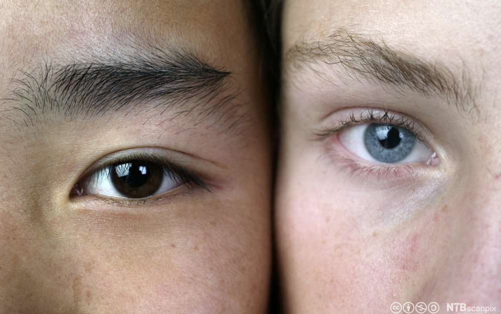 Det flerkulturelle Norge - Kommunikasjon og samhandling (HS-HSF vg1) - NDLA