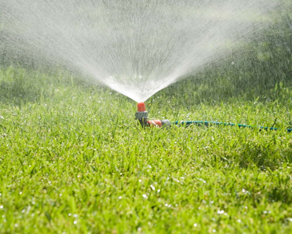 Hvordan øve på norsk uttale - Norsk kort botid (SF vg1) - NDLA