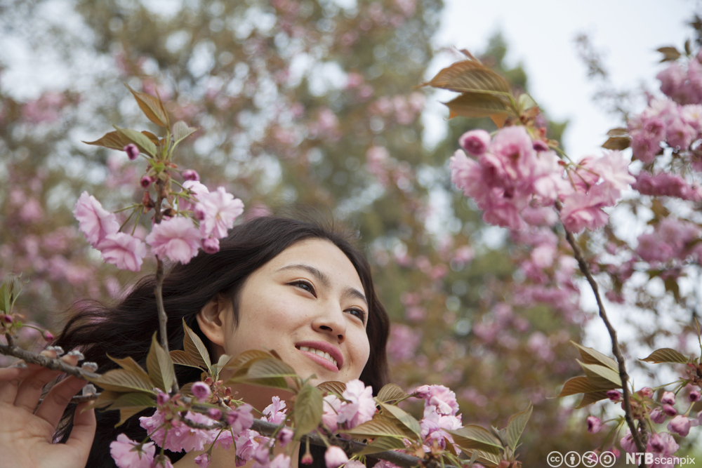 Å beskrive presist med preposisjoner - Norsk kort botid (SF vg1) - NDLA