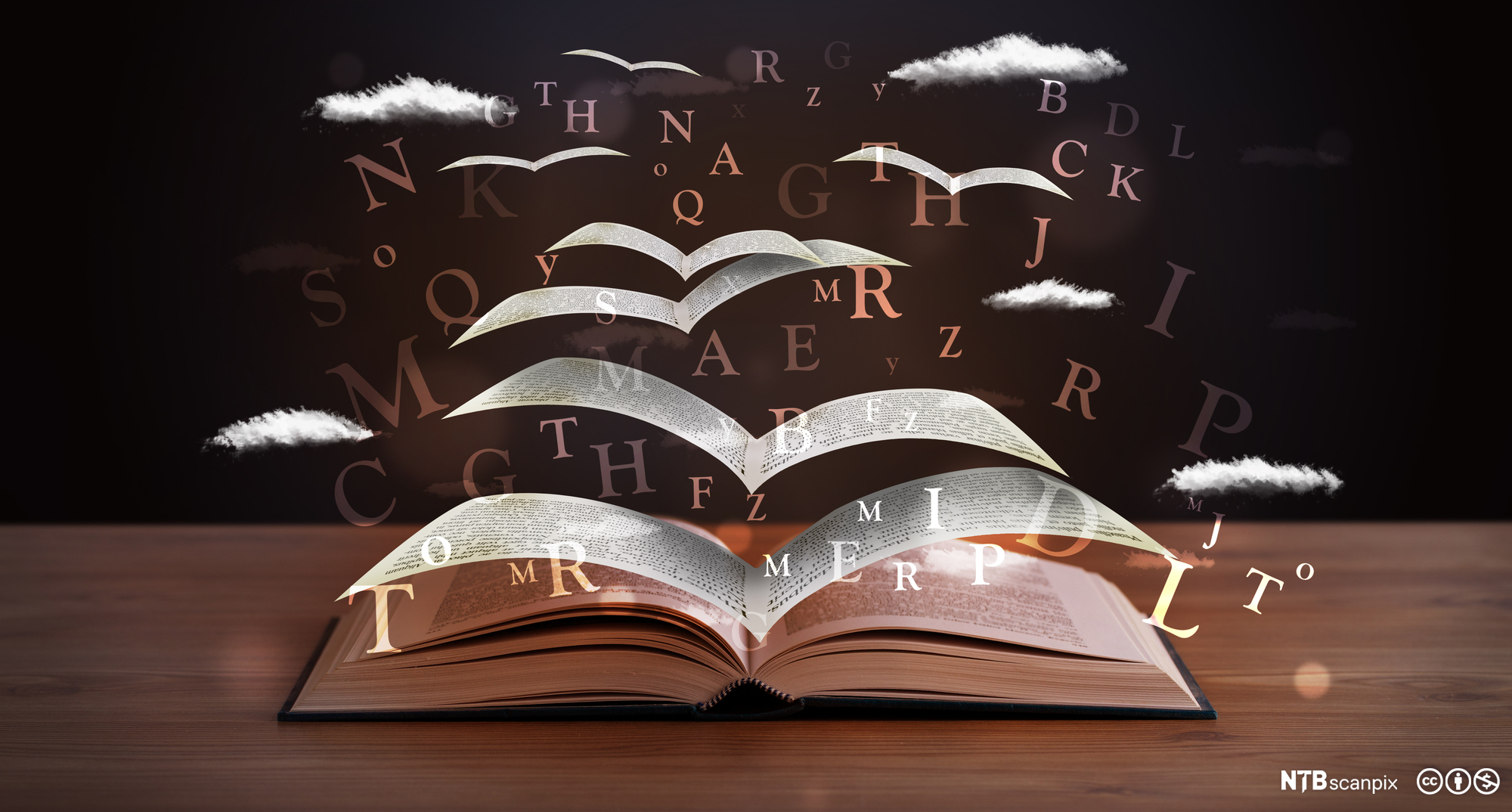 Rimmønster - Norsk (YF) - NDLA