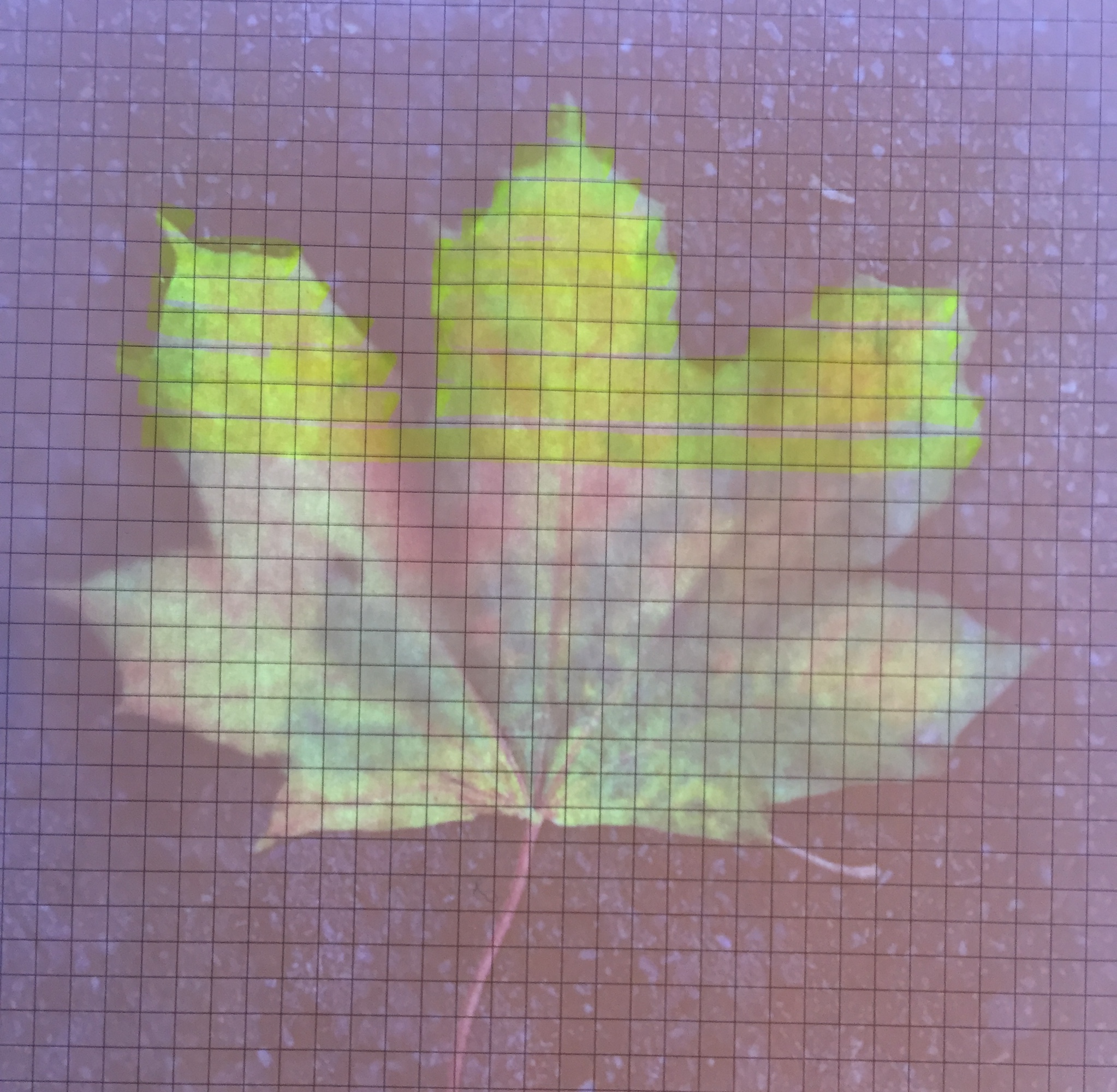 Fra foto til mønster og strikk - Produktutvikling og skapende prosesser ...