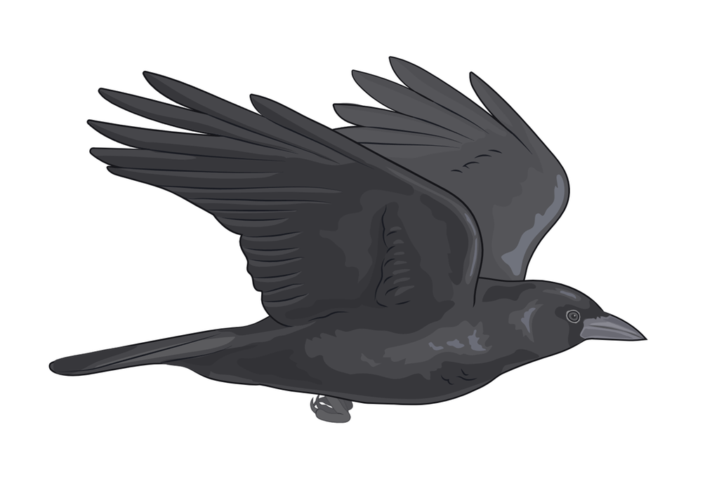 Oversikt over formering hos dyr - Biologi 1 - NDLA