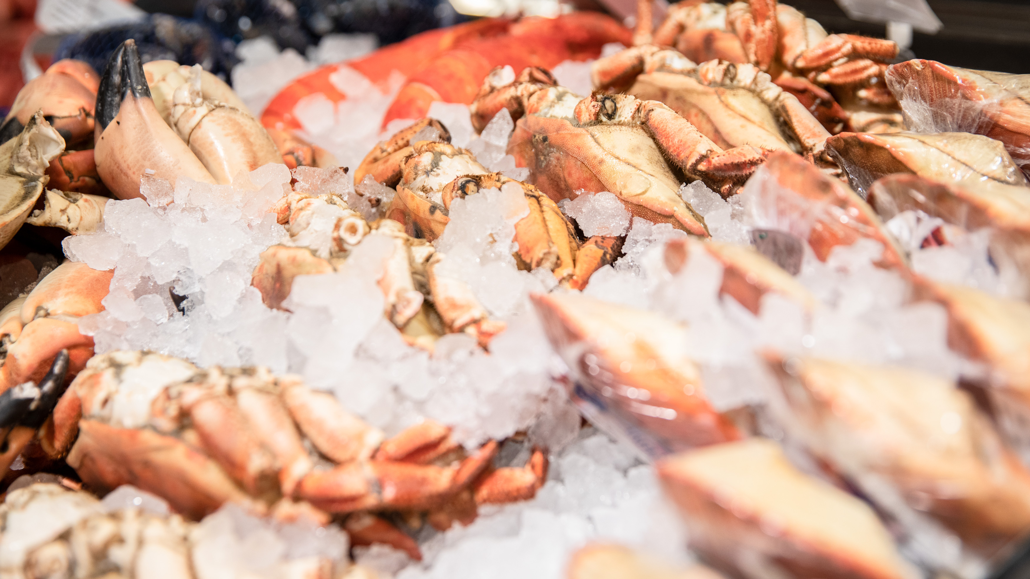 Tilberedning av krabbe - Råvare, produksjon, salg og service (RM-KOS ...