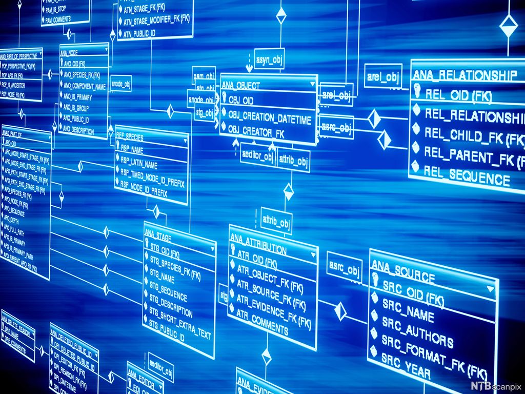 Tabeller, felter og datatyper - Konseptutvikling og programmering (IM-IKM vg1) - NDLA