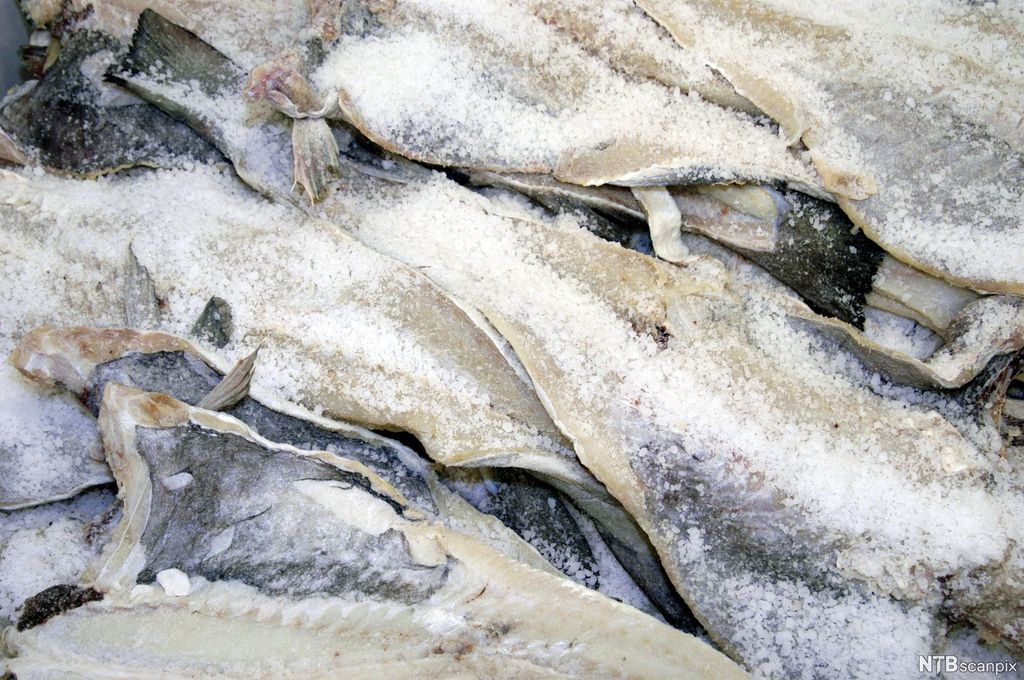 Saltfisk og klippfisk - Naturbasert produksjon og tjenesteyting (NA-NAB ...