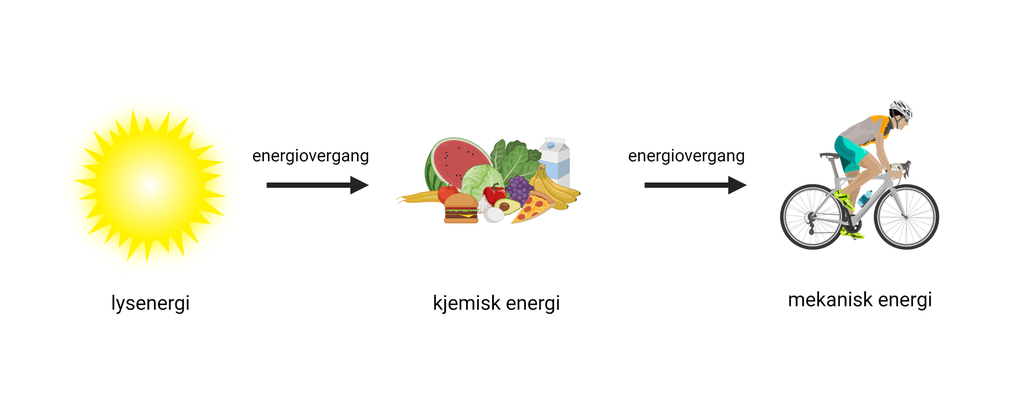 Hva er energi? - Natural science (EL) - NDLA
