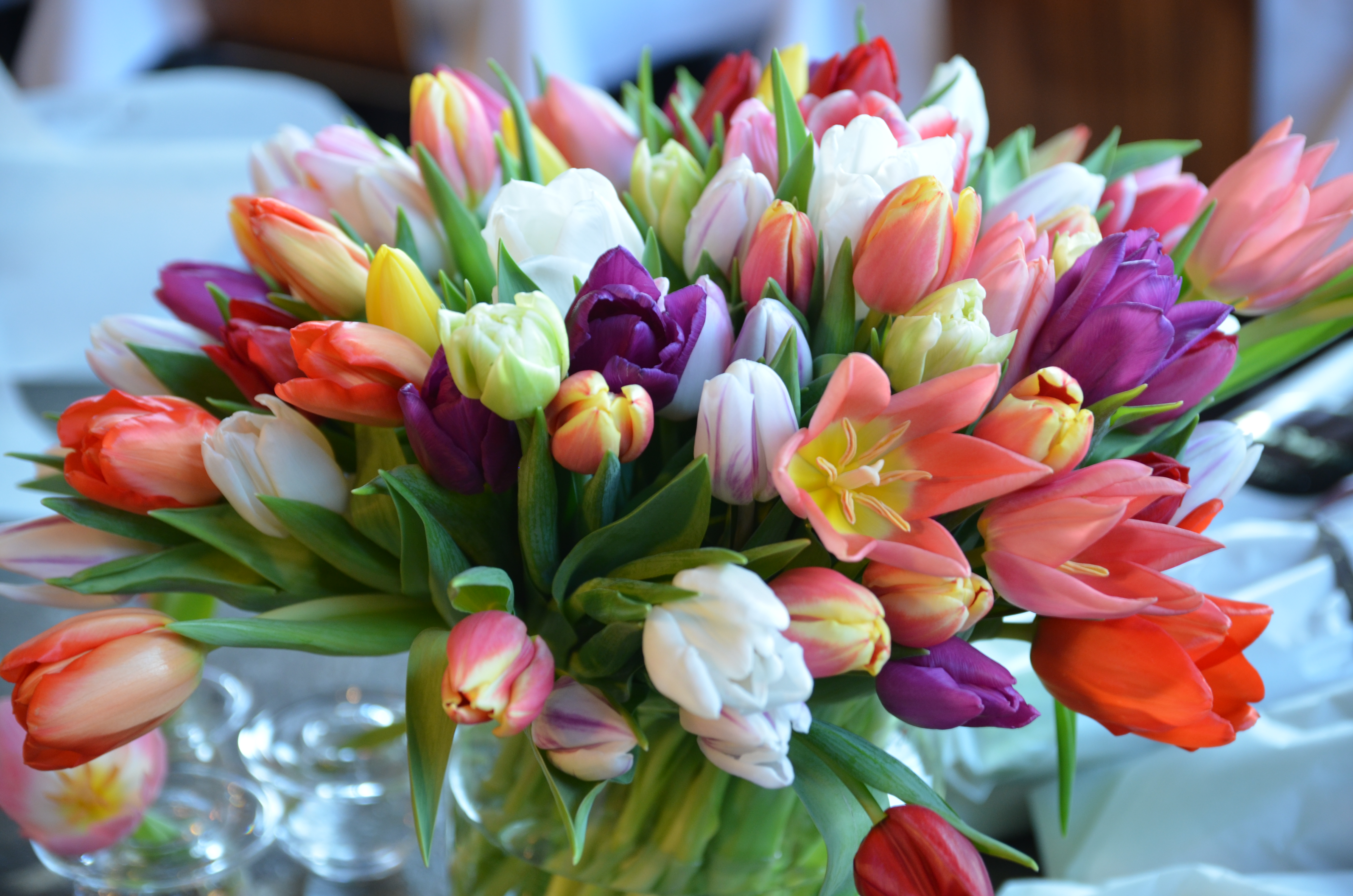 Produksjon av potteplanter og snittblomster i Norge - Produksjon og ...