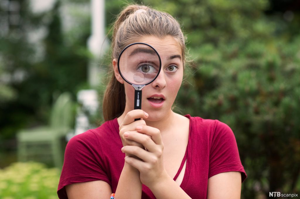 Slik lagar du ei god problemstilling - Verktøykassa – for elevar - NDLA