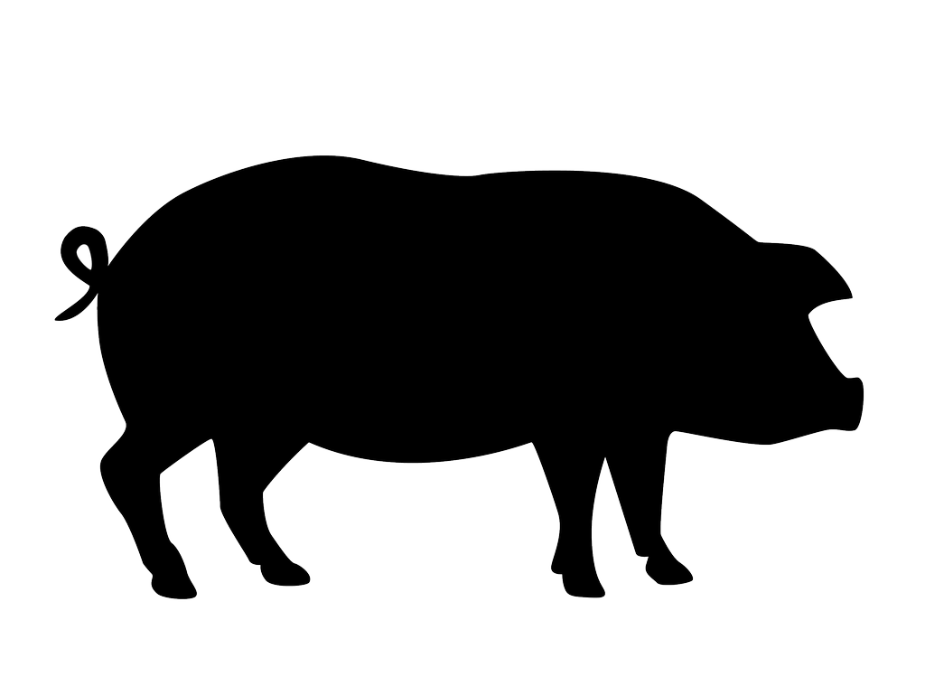 Domestisering av dyr - Naturbasert produksjon og tjenesteyting (NA-NAB ...