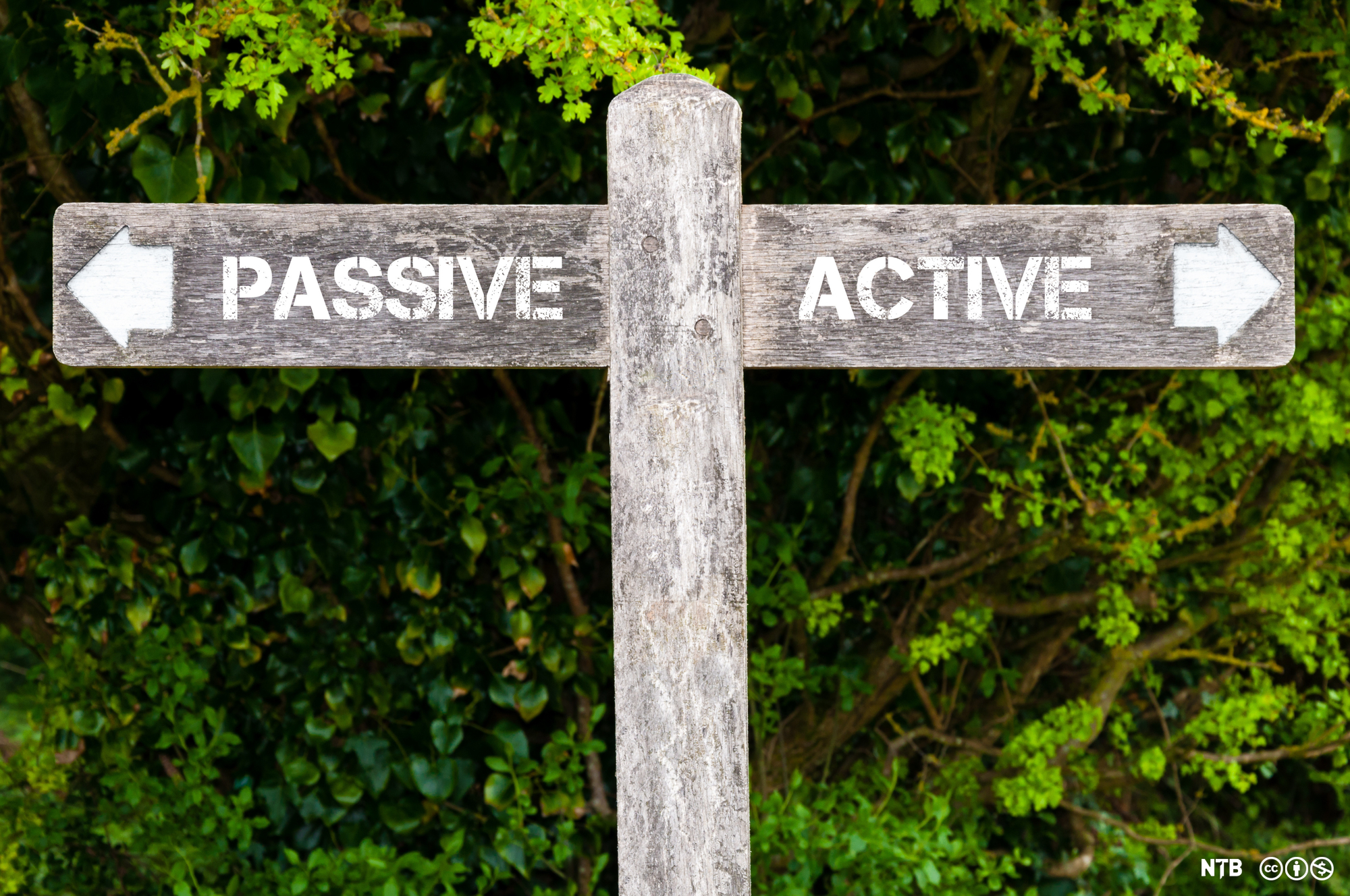 Active vs Passive Voice - Engelsk 2 - NDLA