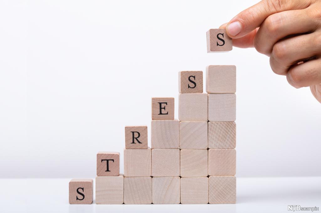 Hva er stress? - Stress og psykisk helse - Tverrfaglige temaer - NDLA