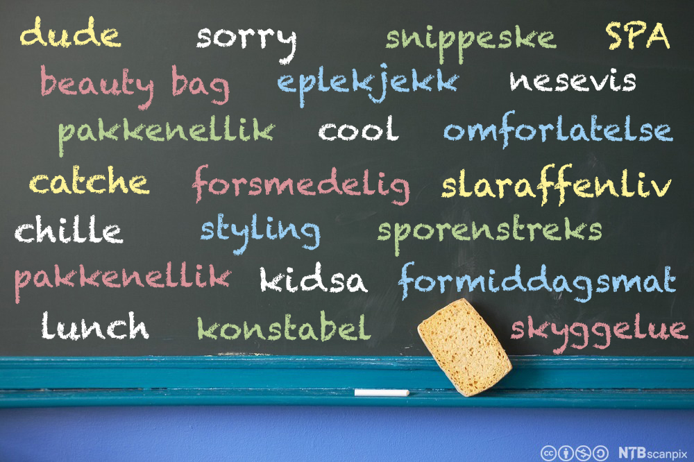 Språk endrer seg over tid - Kommunikasjon og samhandling (HS-HSF vg1) - NDLA