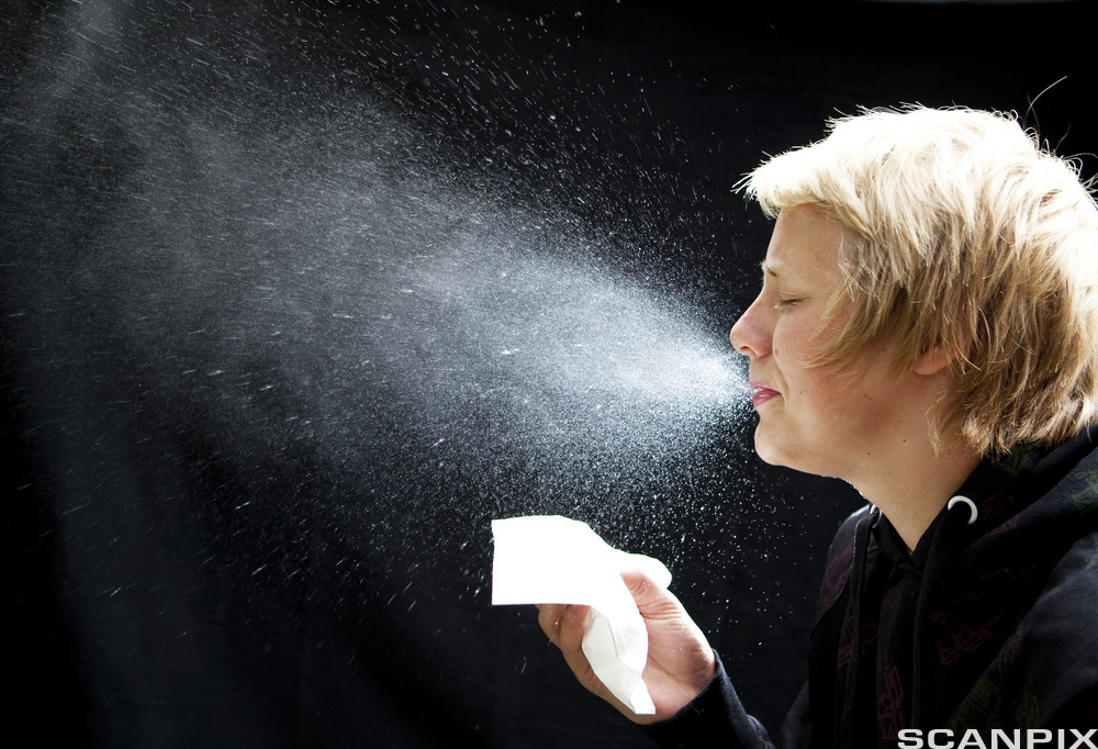 Hvordan spres og hindres smitte? - Biologi 1 - NDLA