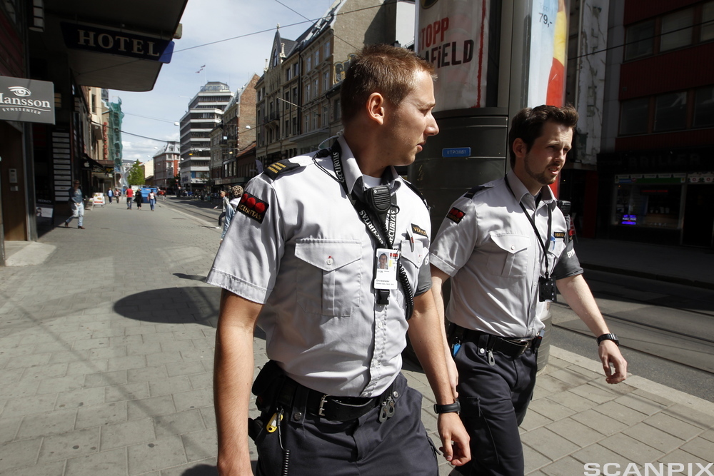 Etiske normer - Kultur og samhandling (SR-SSR vg1) - NDLA