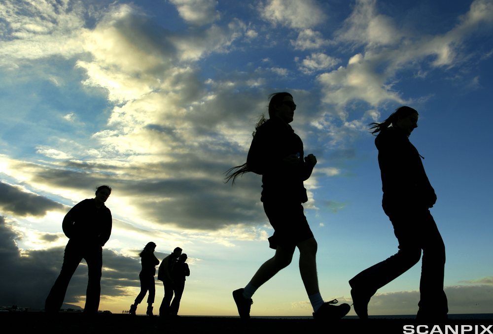 Ulike roller i gruppa - Kommunikasjon og samhandling (HS-BUA vg2) - NDLA