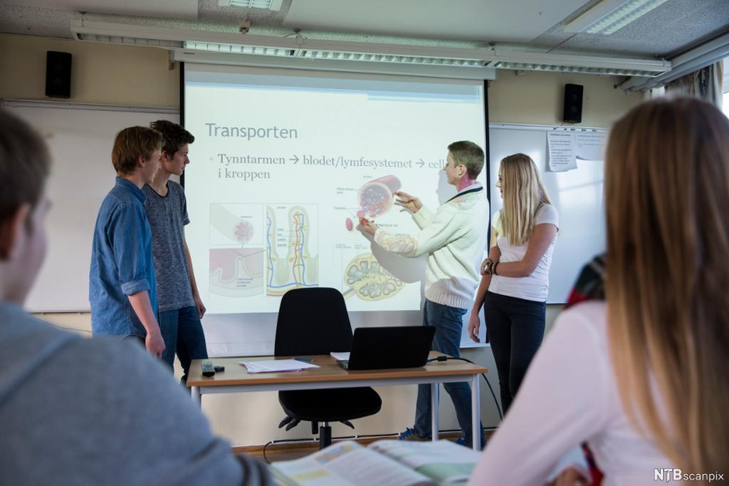 Gruppeprosessen - Kommunikasjon og samhandling (HS-HSF vg1) - NDLA