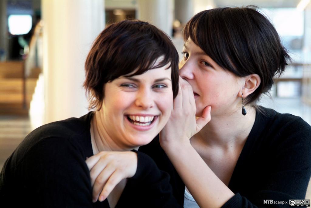 Kommunikasjonsprosessen - Kommunikasjon og samhandling (HS-HSF vg1) - NDLA