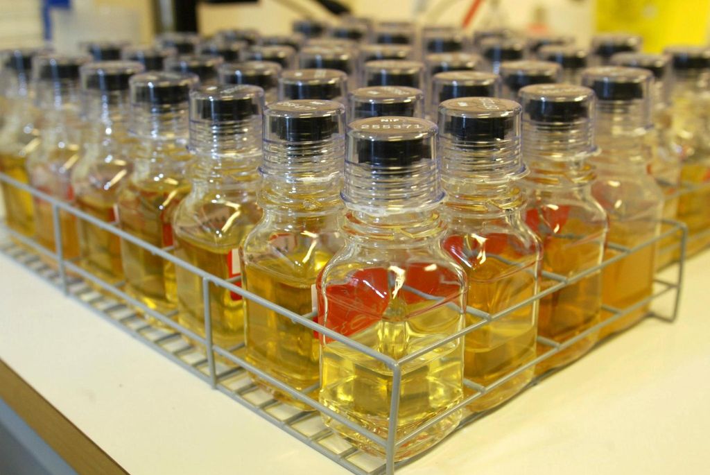 Urin – regulering, urinering og diagnostisering - Helsefremmende arbeid ...